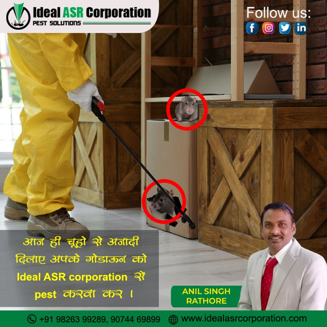 Best Rodent Control in Indore | Ideal ASR Corporation